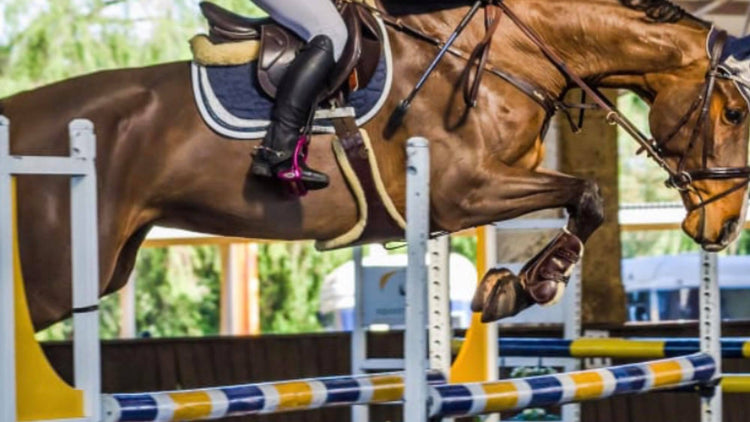 How to Choose the Right Girth for your Horse – Kentaur Australia