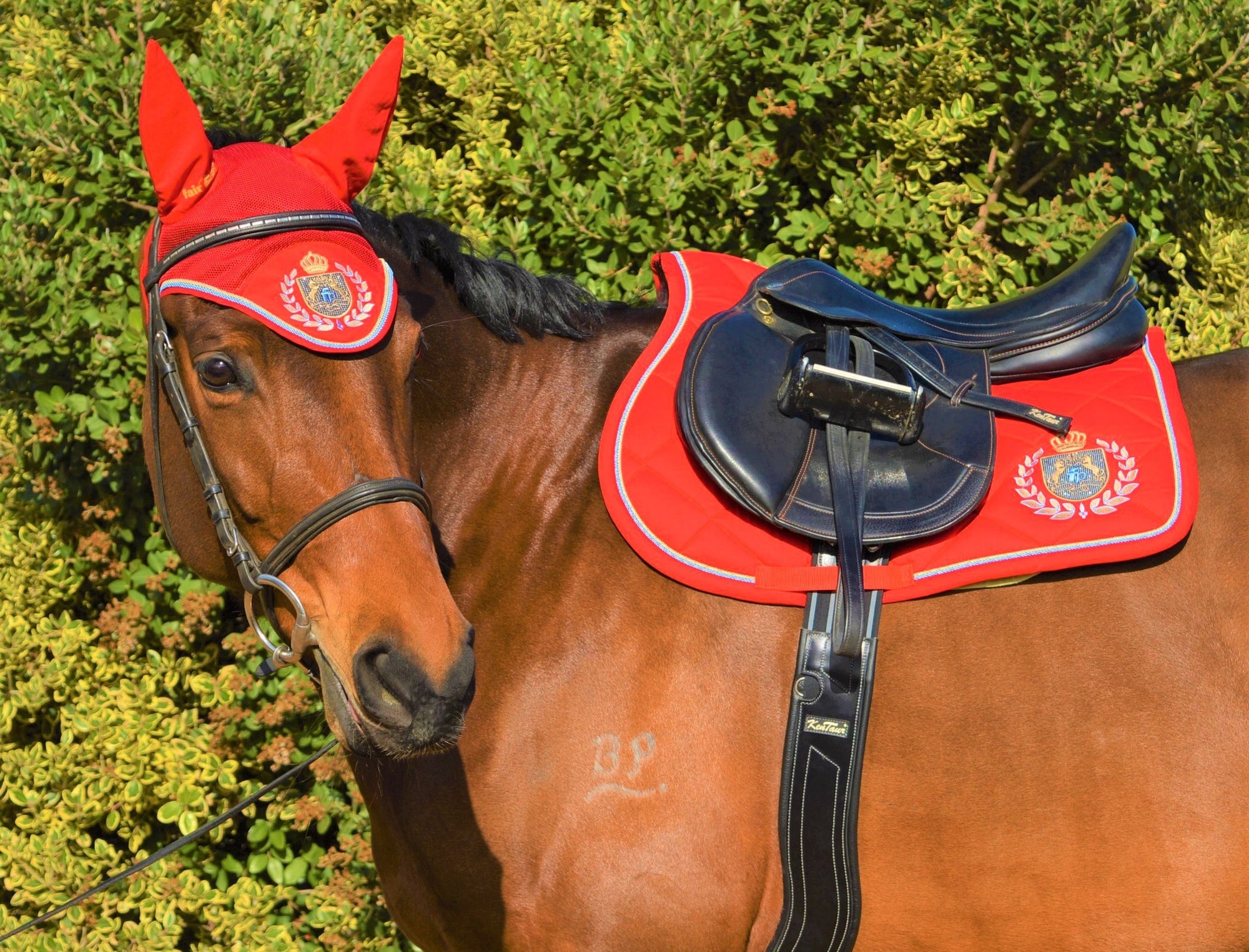 How to choose the right matching set for your horse – Kentaur Australia