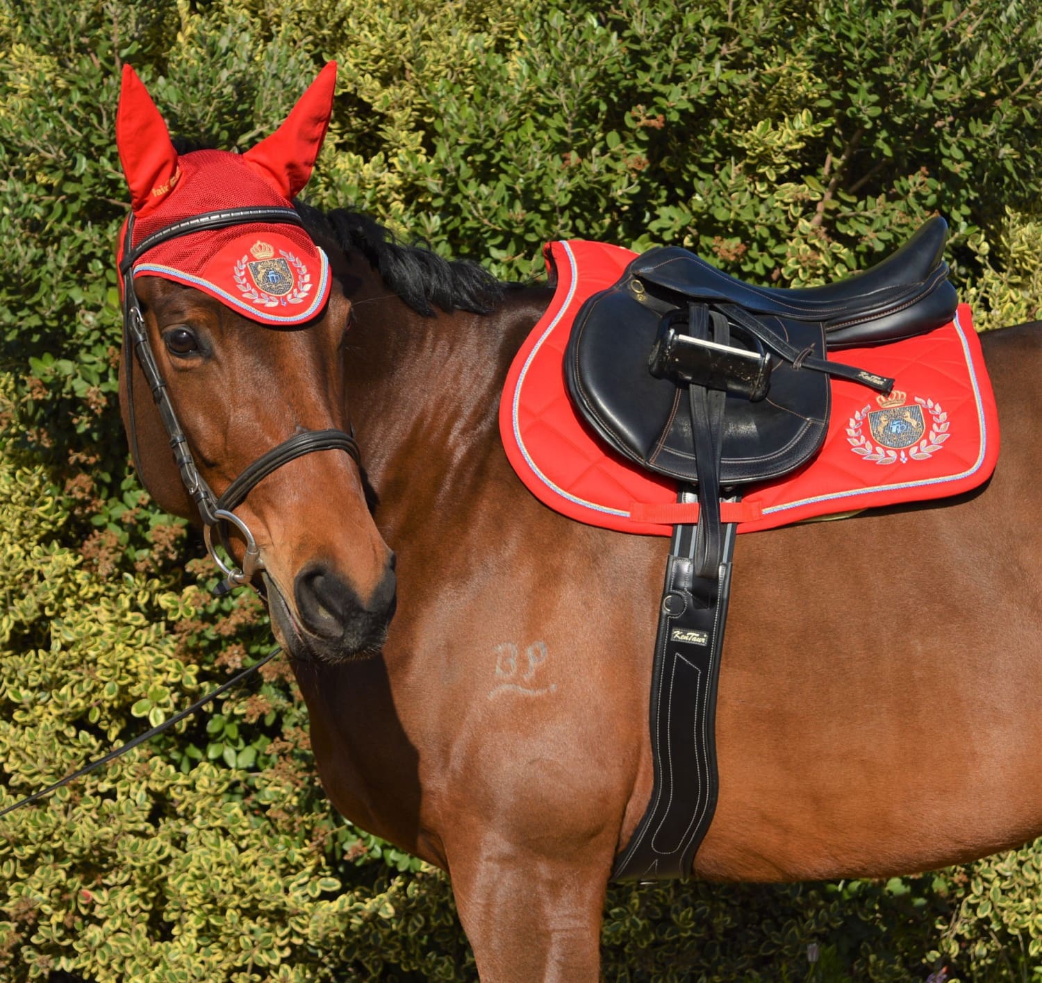 Matching Sets – Kentaur Australia