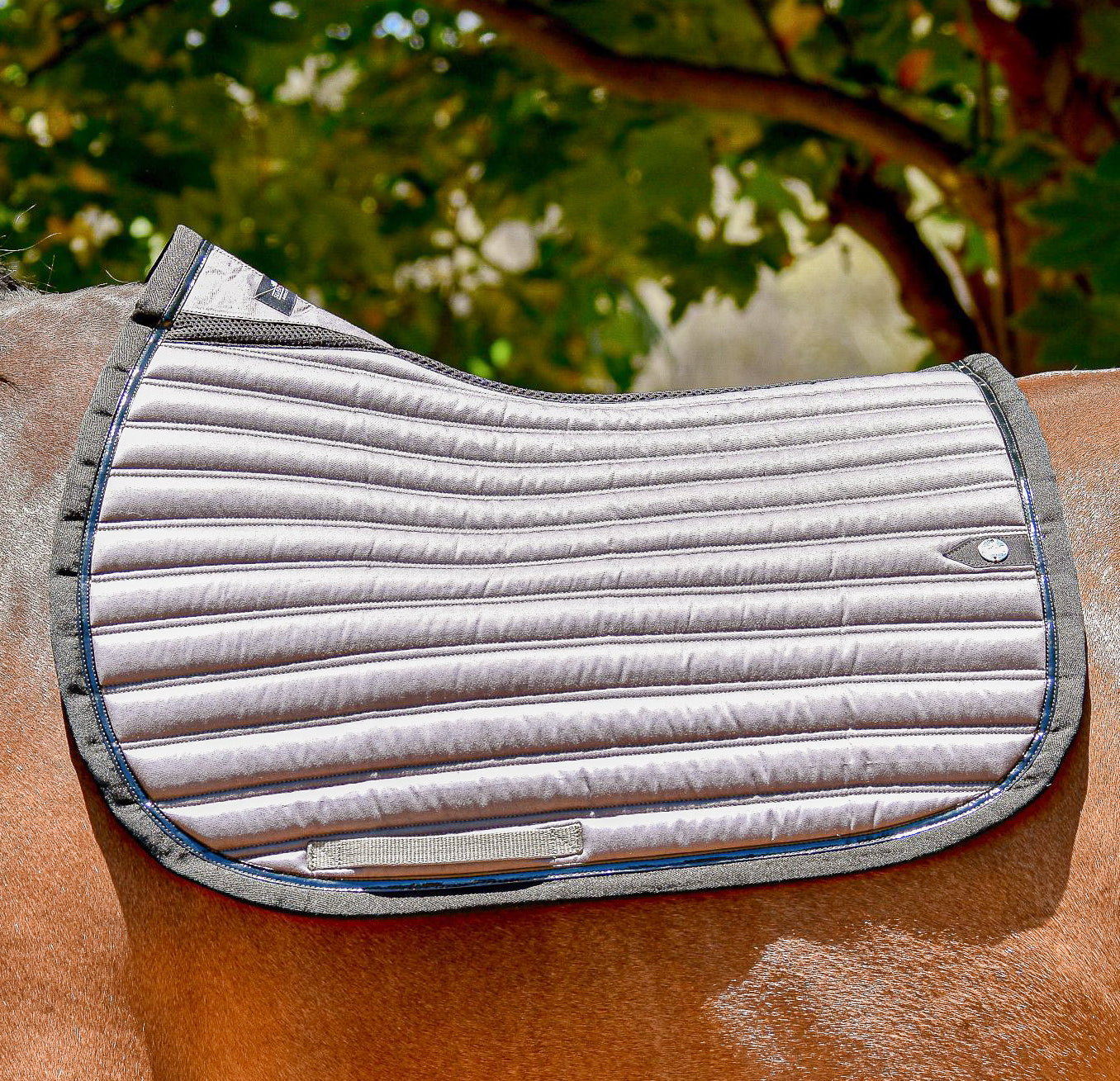 Saddle Pads – Kentaur Australia