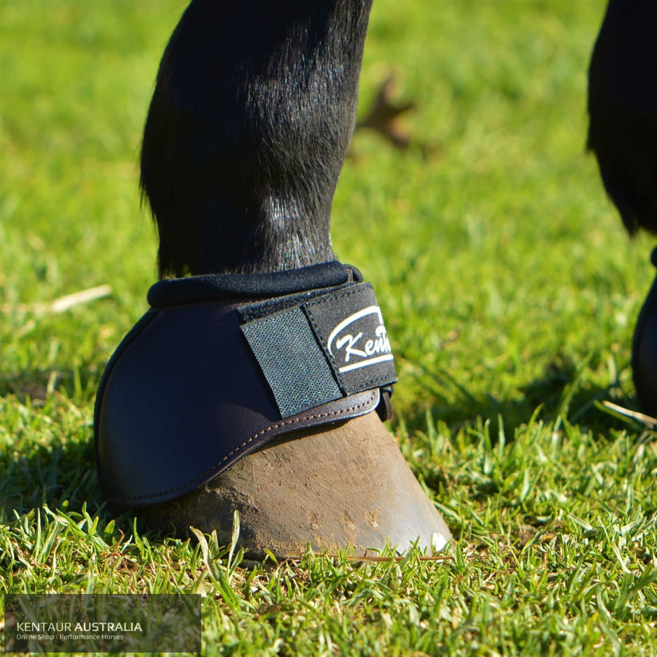 Horse – Kentaur Australia