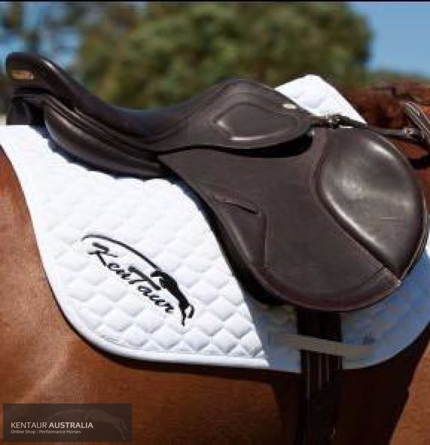 Kentaur Australia - Kentaur ‘Titan’ Jumping Saddle