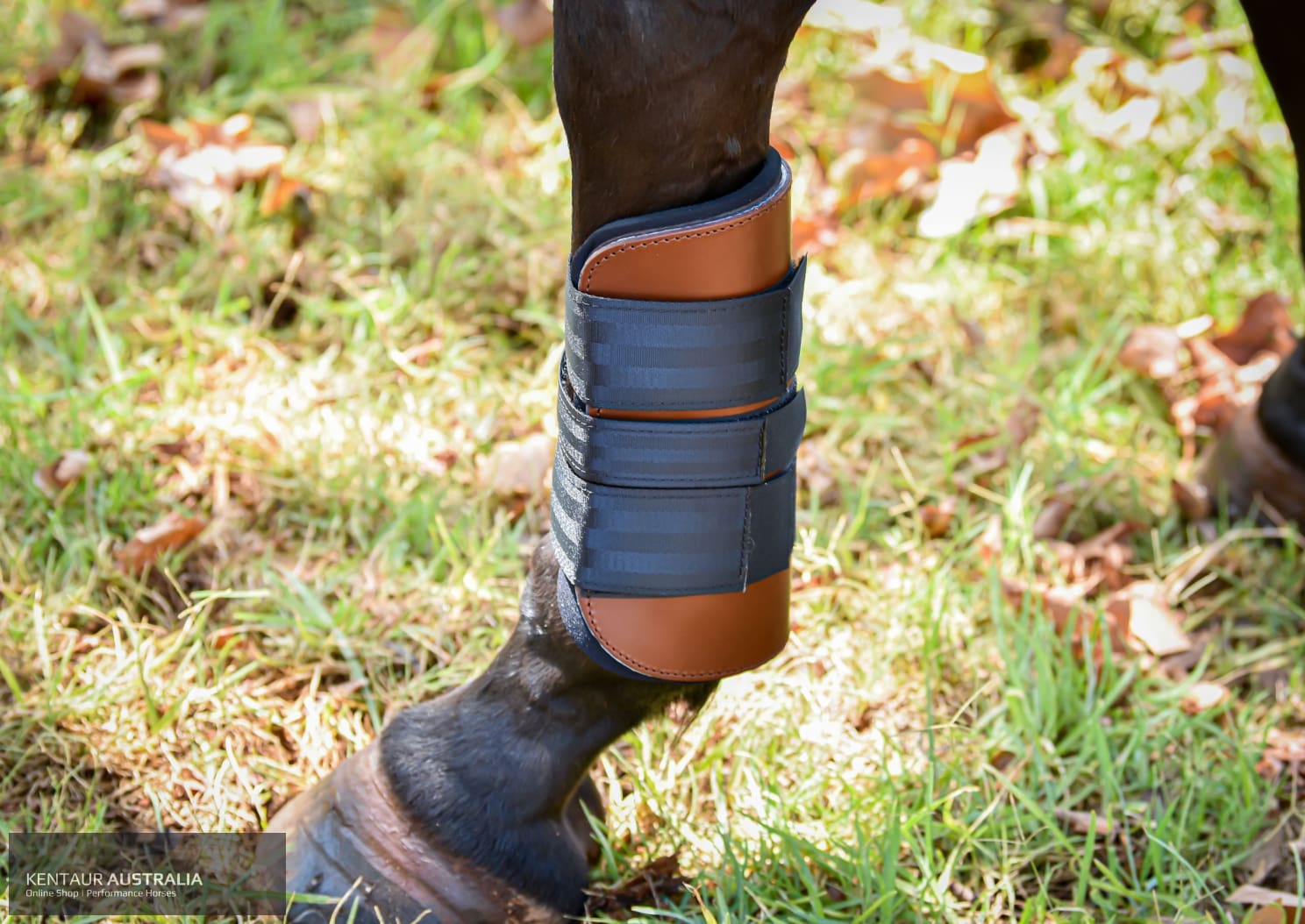 Kentaur Australia - Kentaur Weighted Training Front Boots
